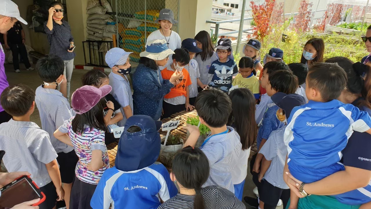 Sustainable Education Champions: Promoting Environmental Awareness in ...