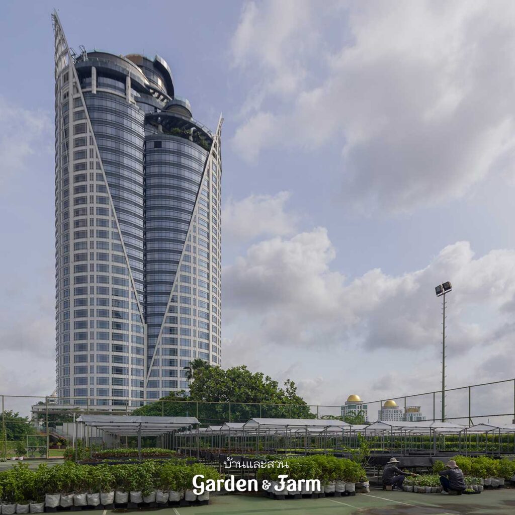 A Path to Sustainability on the Rooftop: Circular Urban Farming at ...