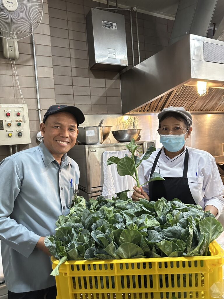 Circular Urban Farming. A Sustainability Model at Pullman Bangkok King ...